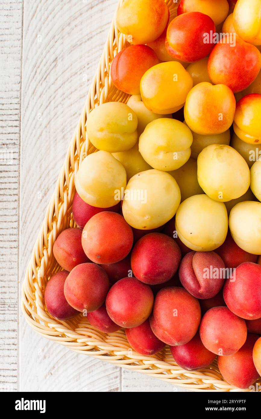 Assorted different types of apricots in a basket. Stone fruits ...