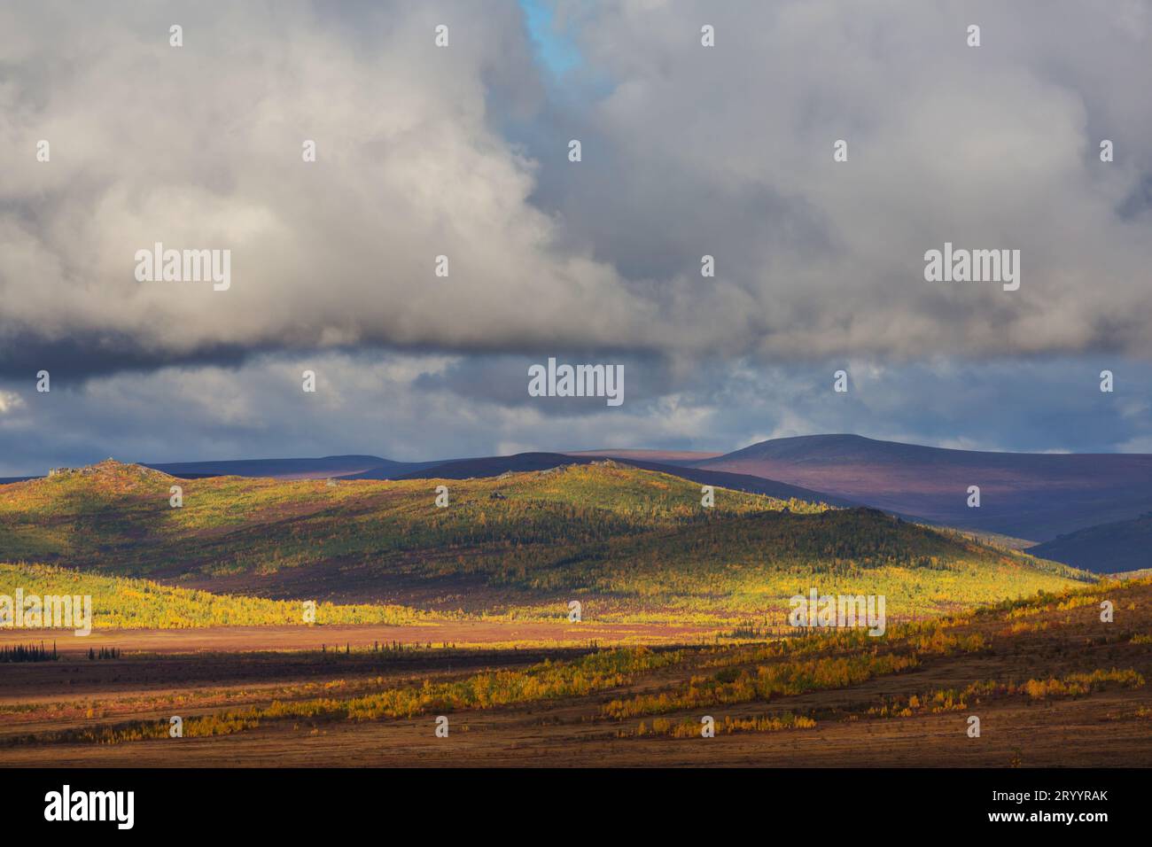 Hiking in the tundra zone in the polar region of Alaska Stock Photo - Alamy