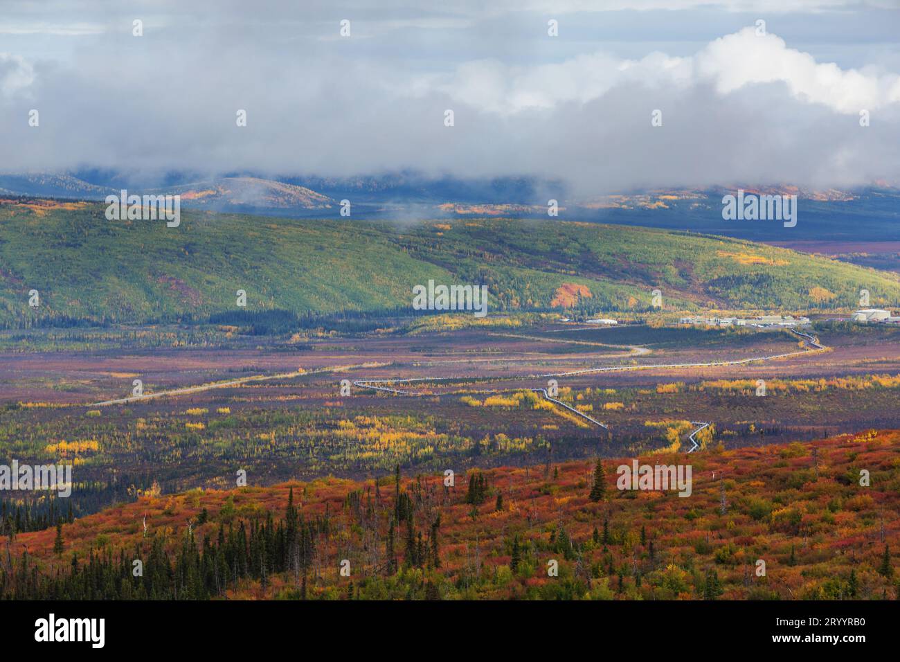 Hiking in the tundra zone in the polar region of Alaska Stock Photo - Alamy