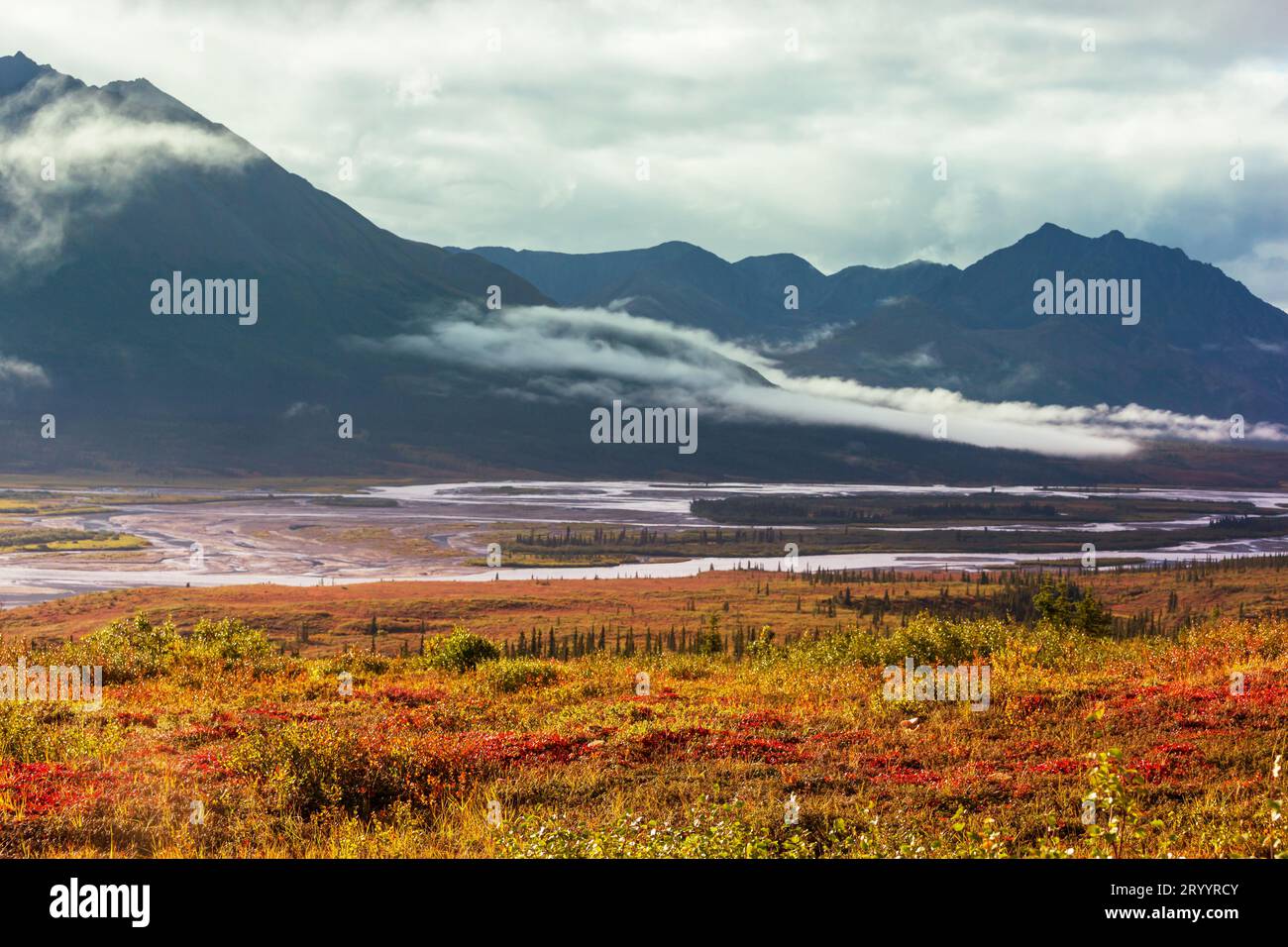 Hiking in the tundra zone in the polar region of Alaska Stock Photo - Alamy