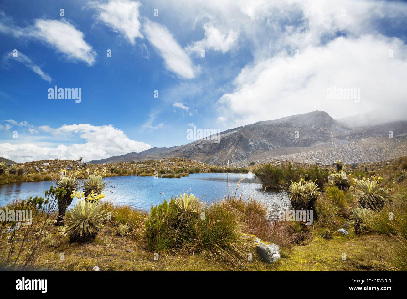 Mountains in Colombia Stock Photo - Alamy