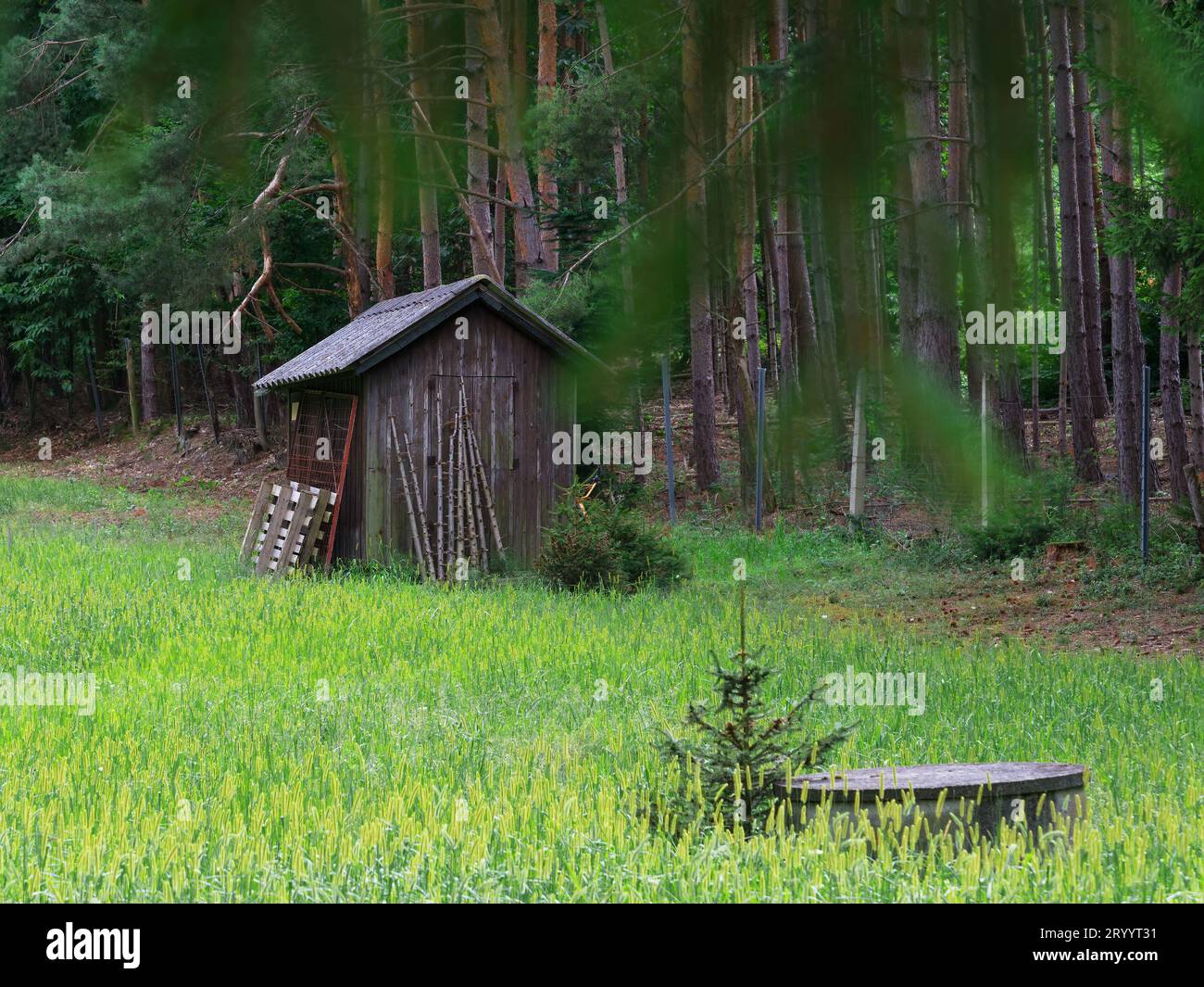 Log cabin forest hi-res stock photography and images - Alamy