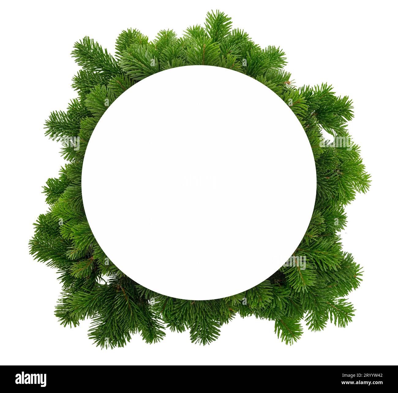 Christmas empty white card on fir tree frame isolated on transparent ...