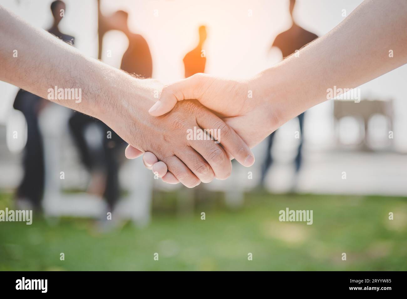 Handshake of two business people at outdoors. Business and Nature ...