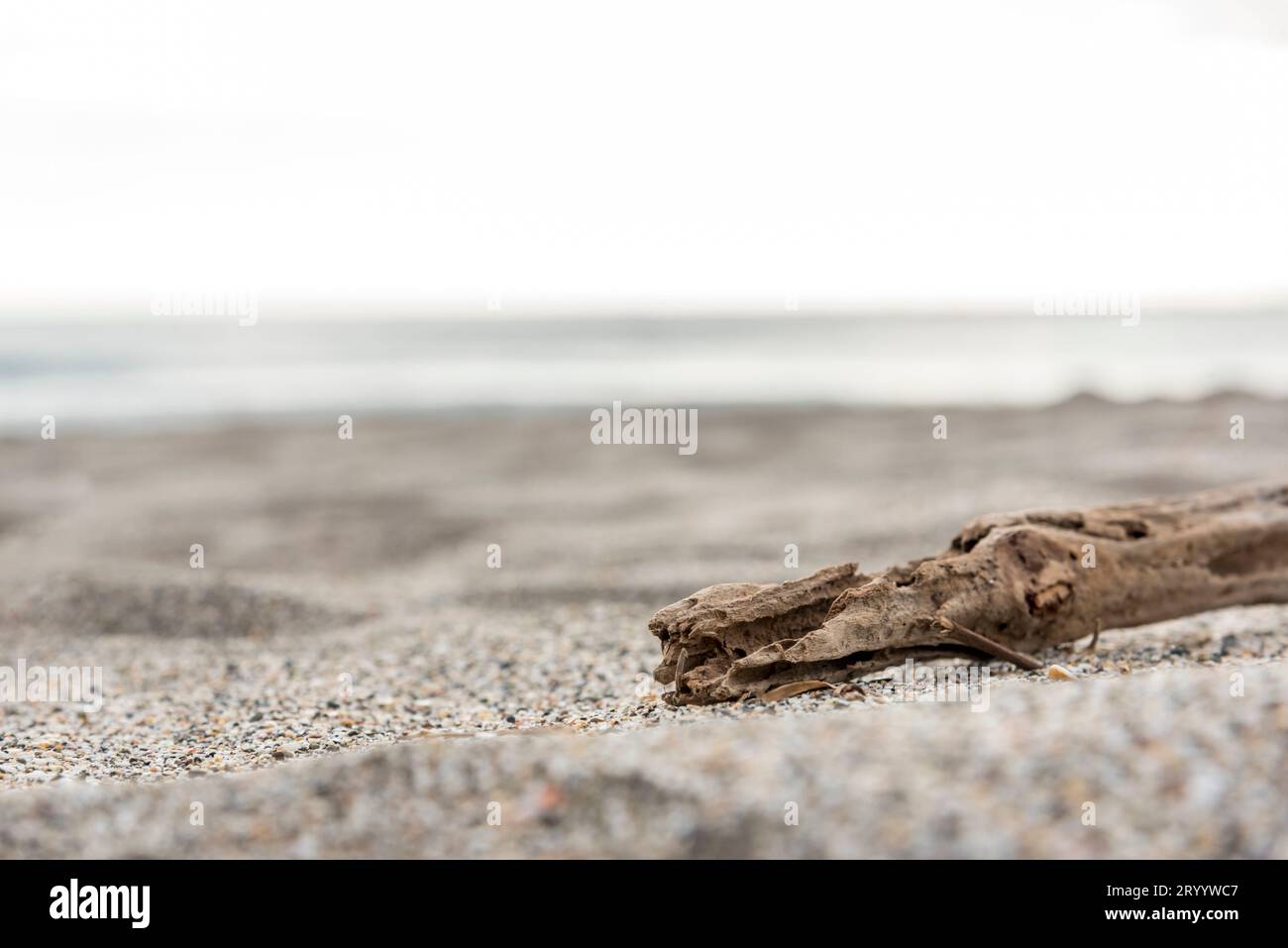 Timber on beach hi-res stock photography and images - Alamy