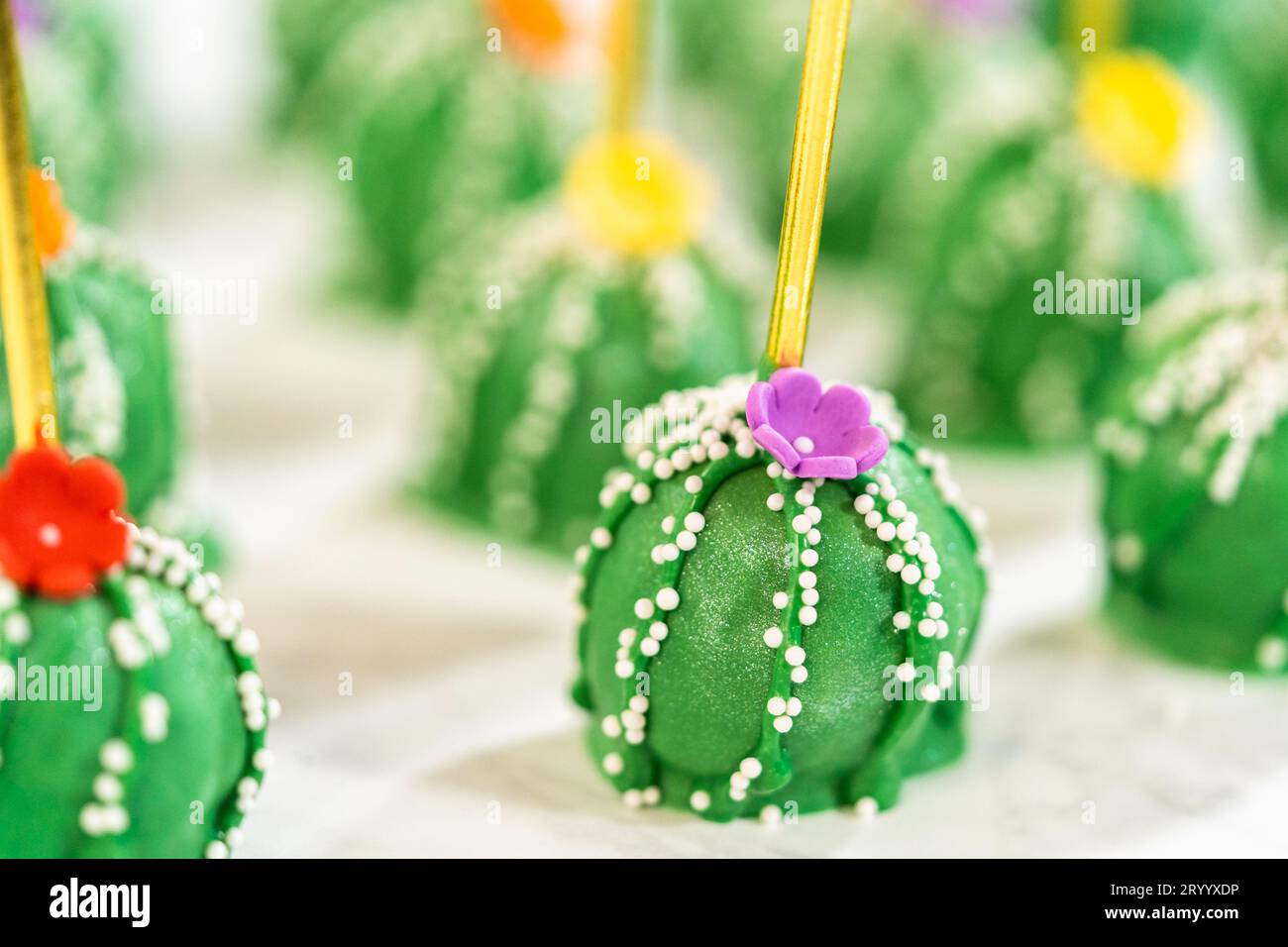 Delicious cactus cake pops for Cinco de Mayo celebration Stock Photo ...