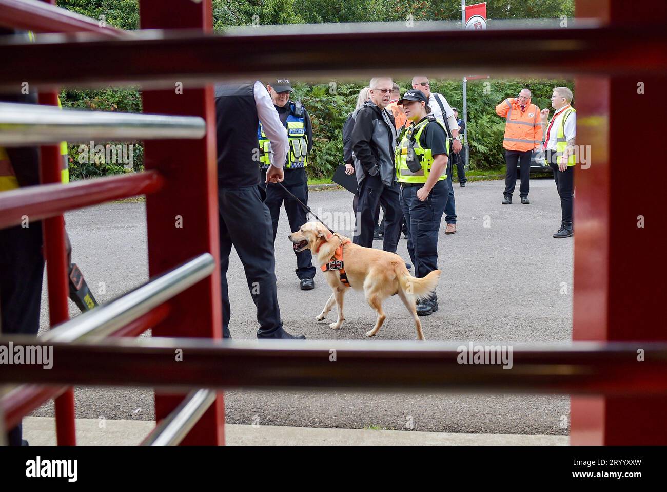 Working dog match hi-res stock photography and images - Alamy