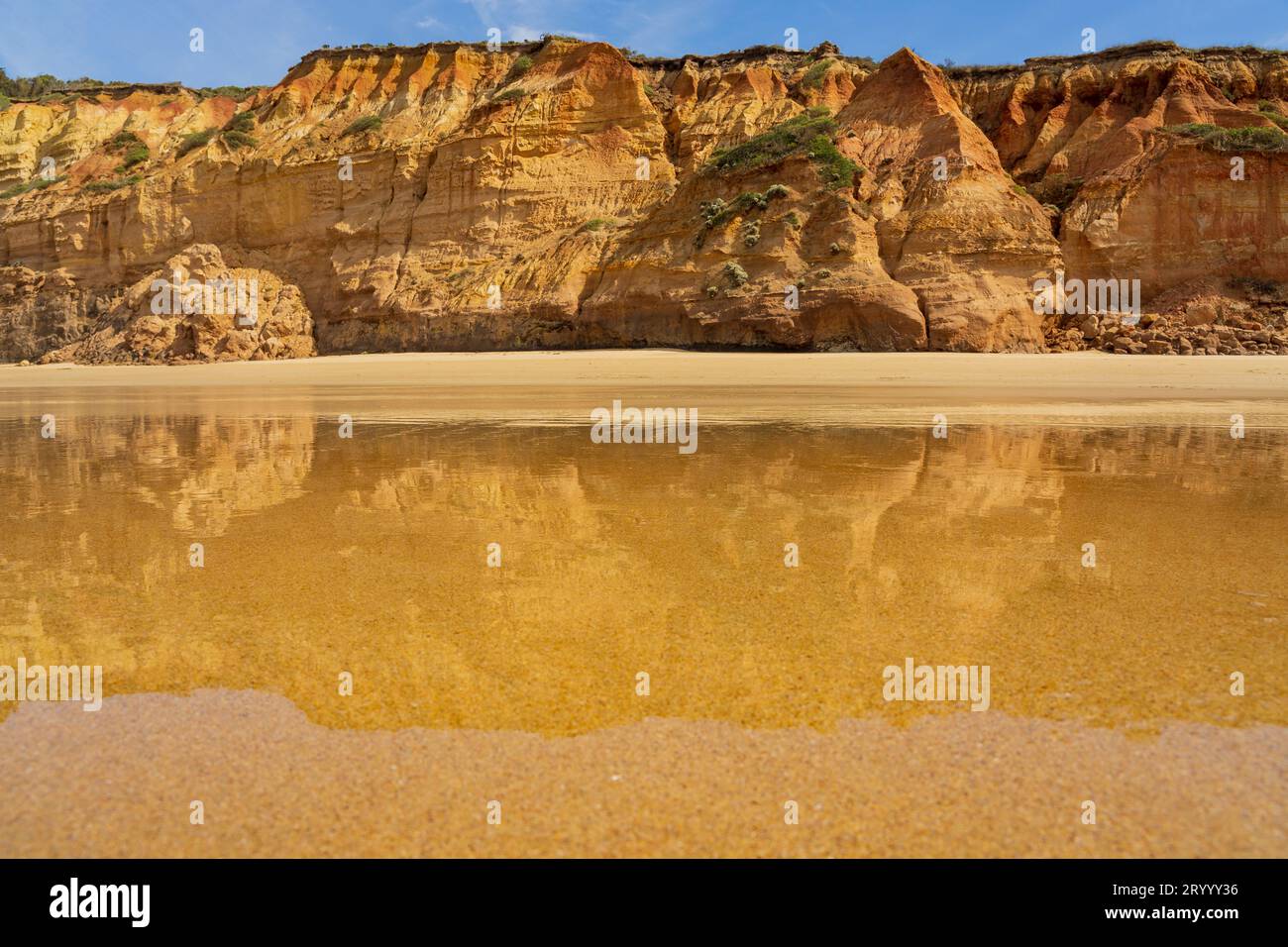 Low angled view of sea cliffs reflected on a wet sandy beach on the ...