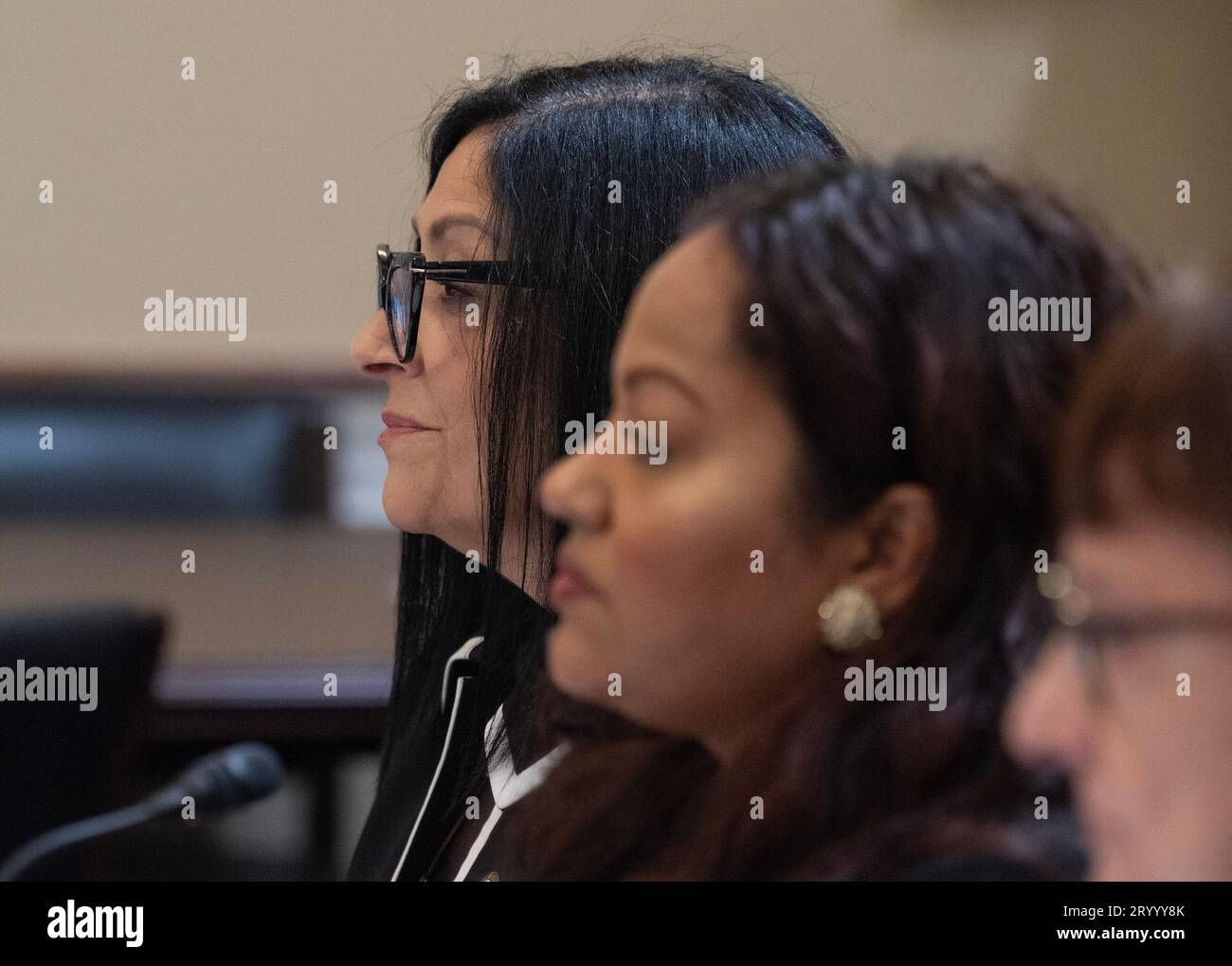 Joann Ariola, New York City Council Member (R-District 32), Ozone Park ...