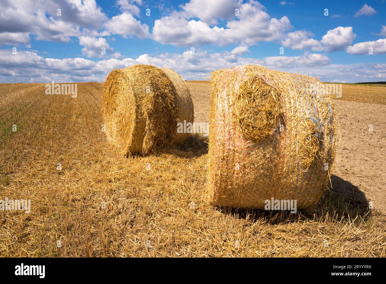 Hay rolls in harvested agricultural hi-res stock photography and images ...