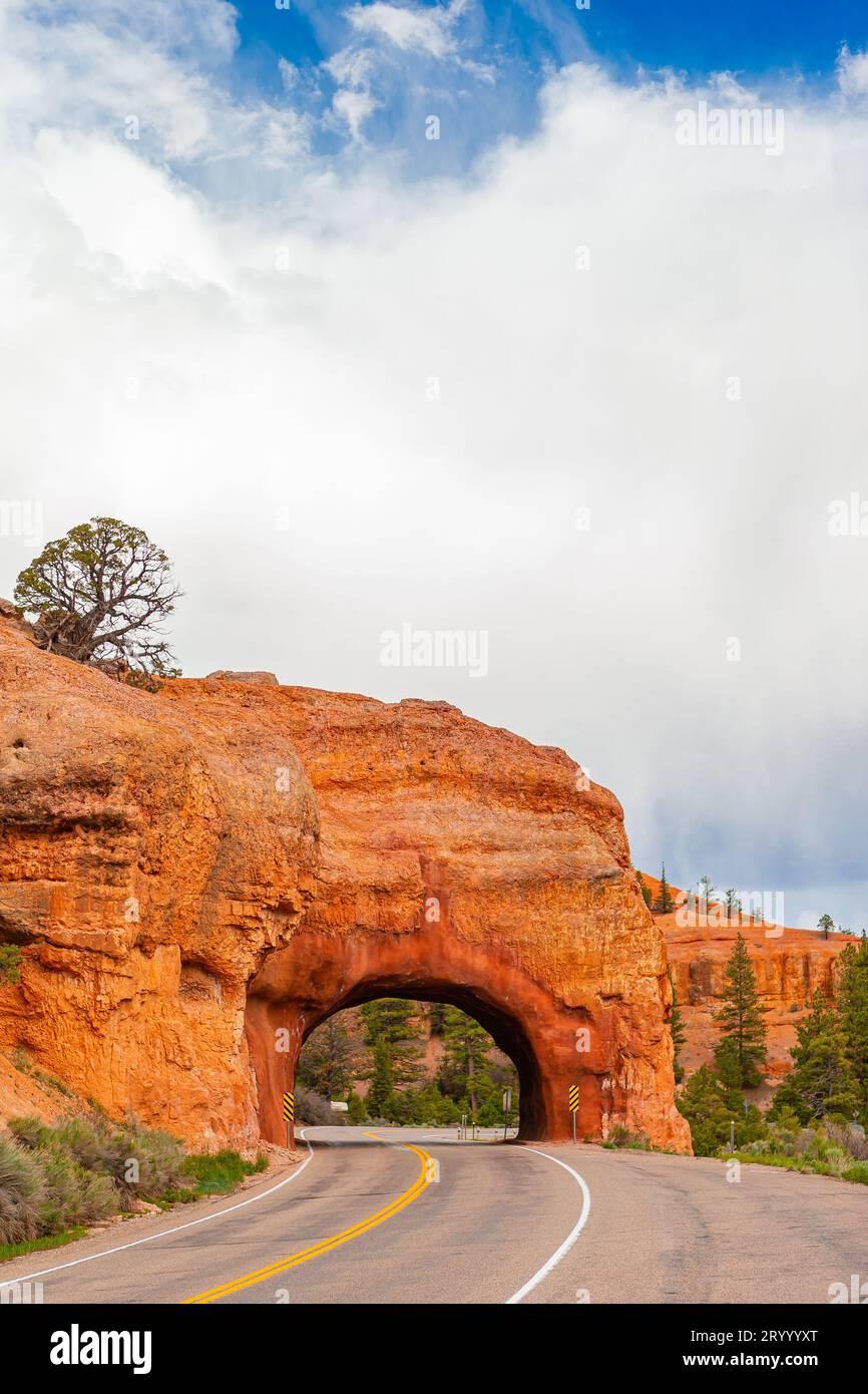 Red stone forest park hi-res stock photography and images - Alamy