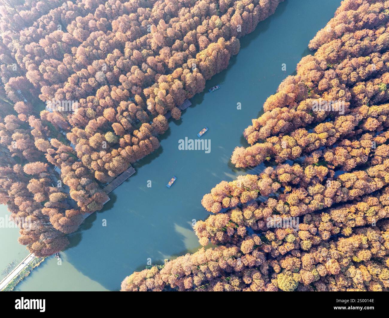 Aerial photo shows the winter scenery of a water forest at a wetland ...