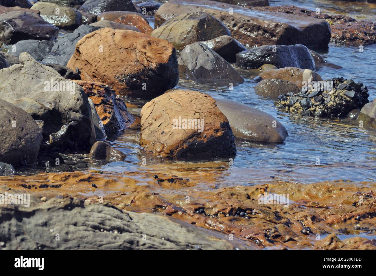 Assortment of large rocks in the tidal zone on a rocky beach. Worn ...
