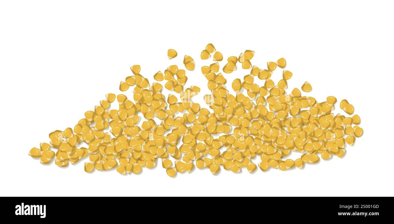 Corns seed. Pile of sweetcorn golden grains on white. Ripe yellow corn ...