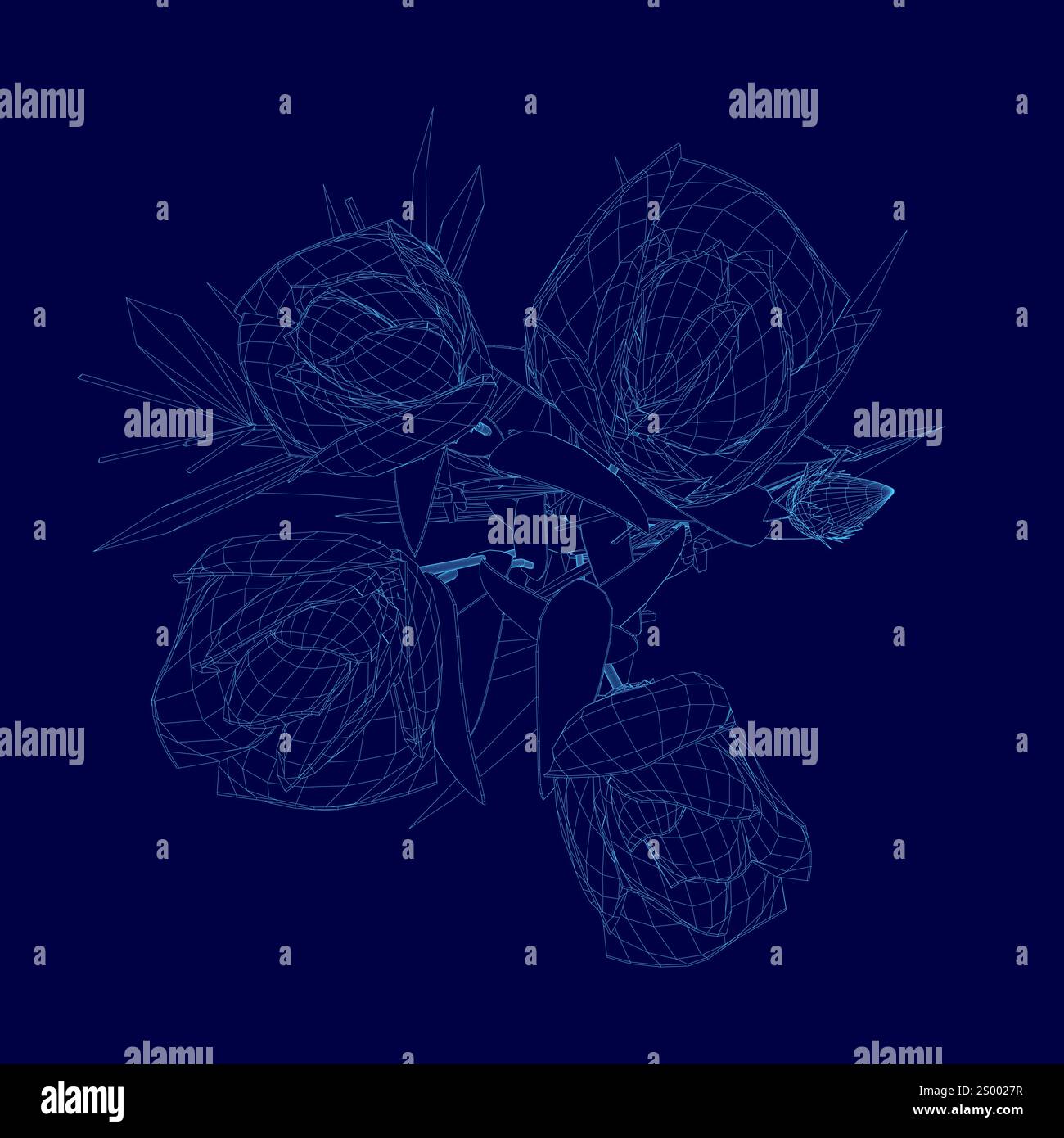 Contour Rose flower of blooming plant. Garden rose isolated icon of ...