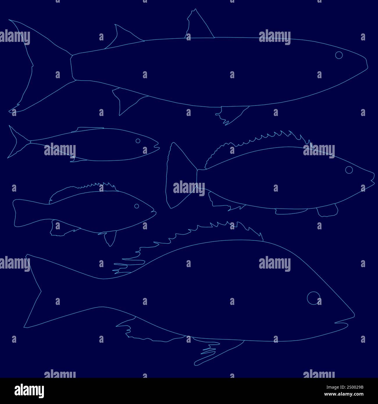 Sea fishes set contour. Marine and freshwater species. Side view ...