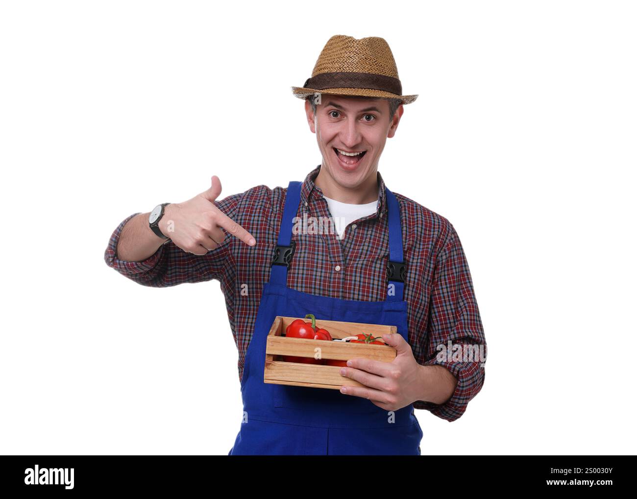 Farmer pointing at crate with vegetables on white background Stock ...