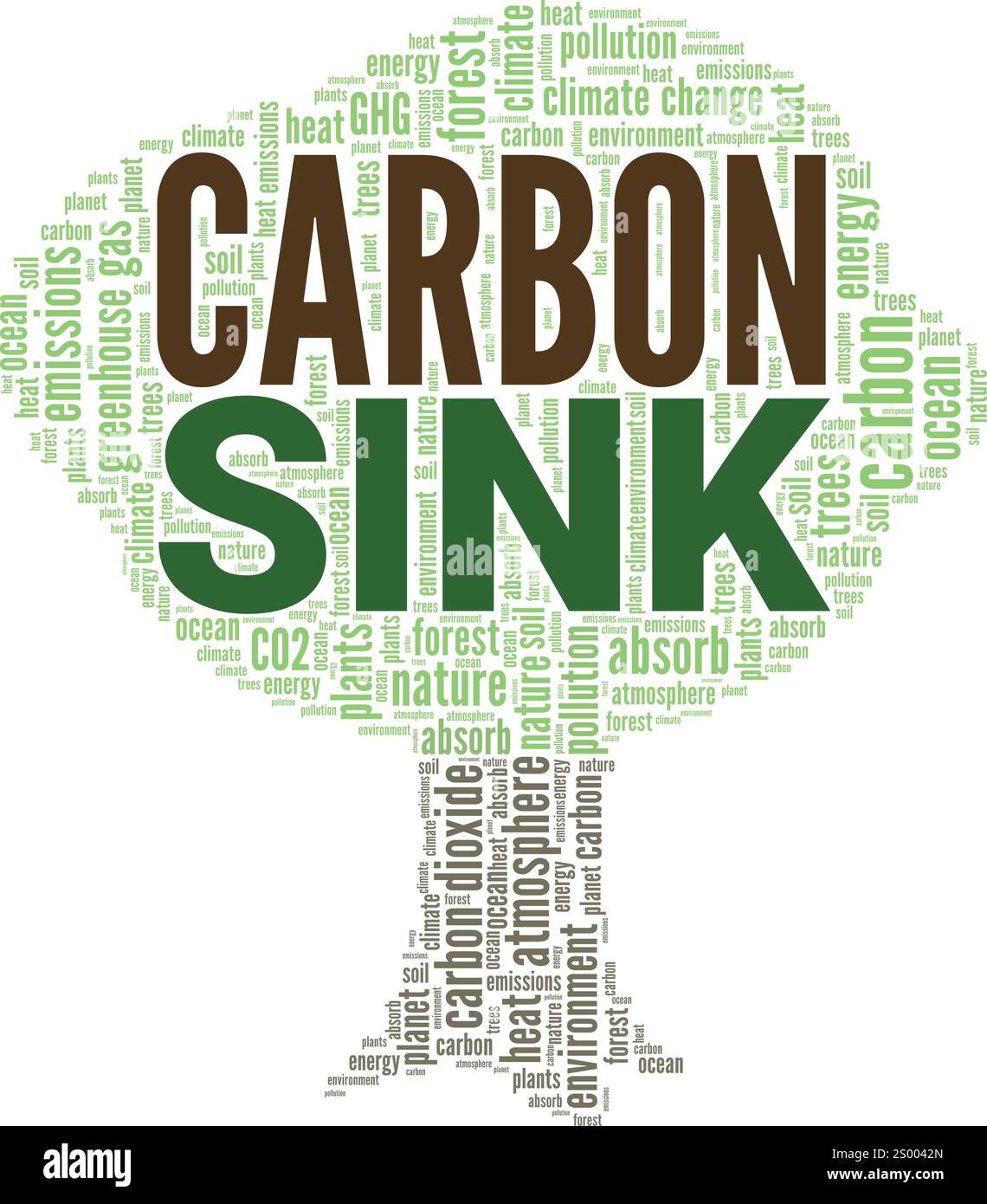 Carbon Sink word cloud conceptual design isolated on white background ...