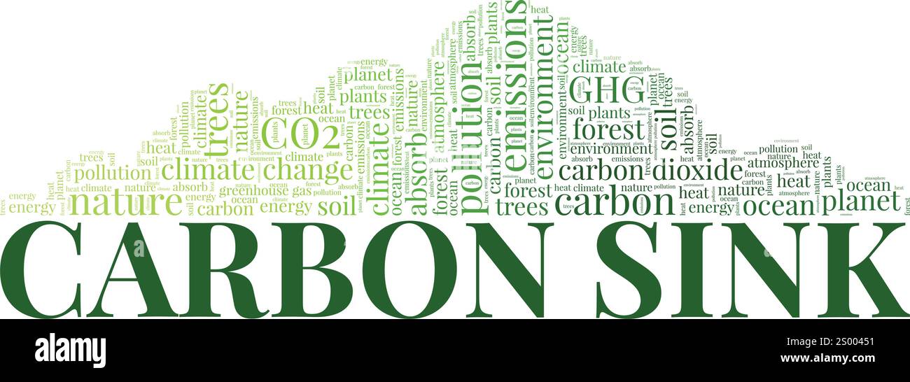 Carbon Sink word cloud conceptual design isolated on white background ...