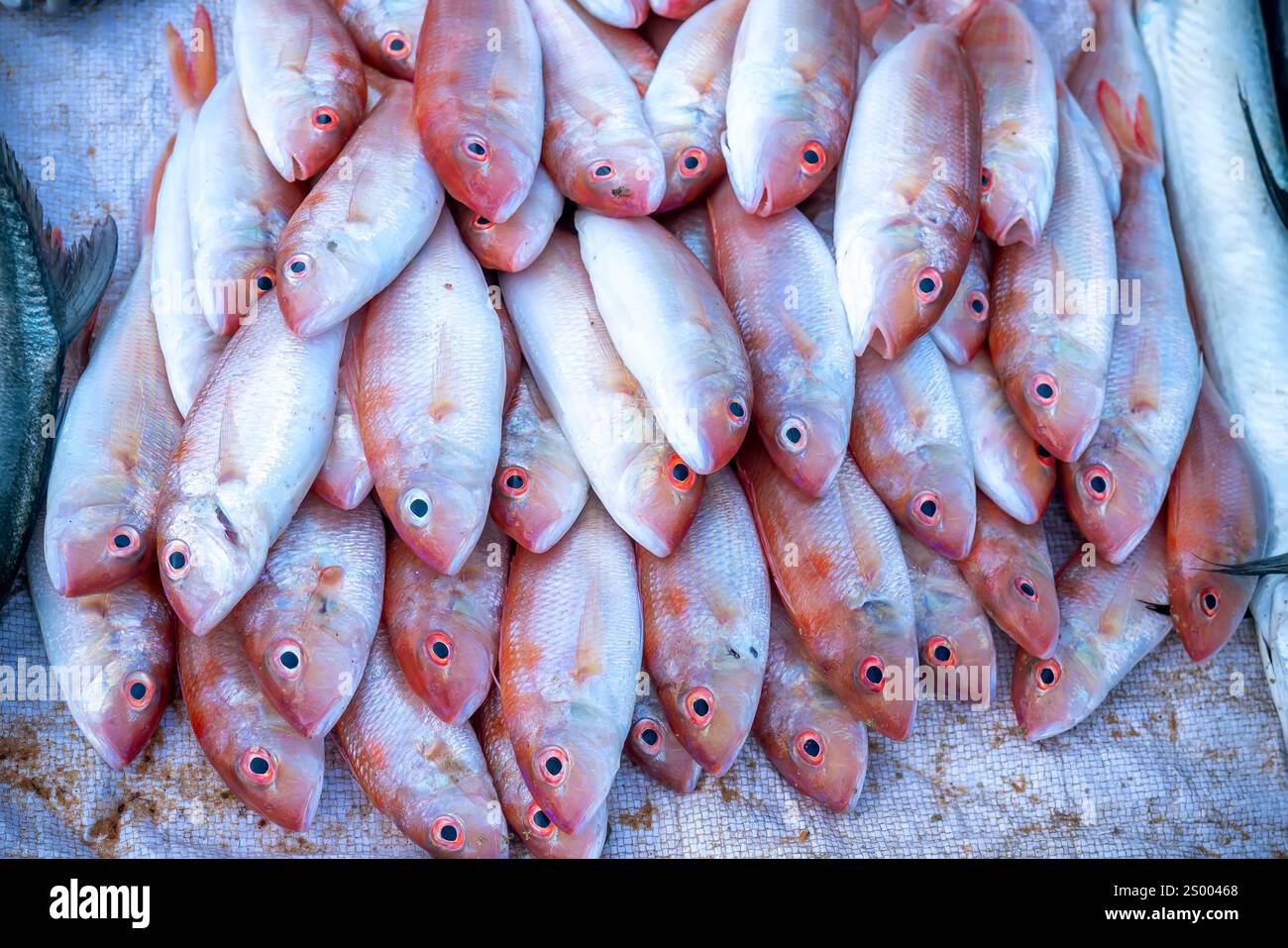 Fresh white pomfret fish for sale at the seafood market Stock Photo - Alamy