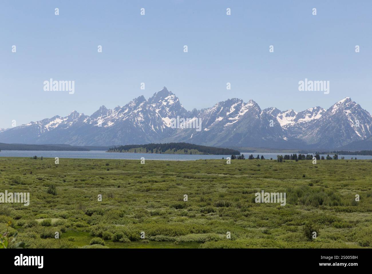 Grand Tetons and an open meadow on clear day Stock Photo - Alamy
