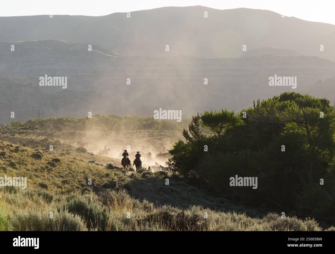 Two cowboys riding horses hi-res stock photography and images - Alamy