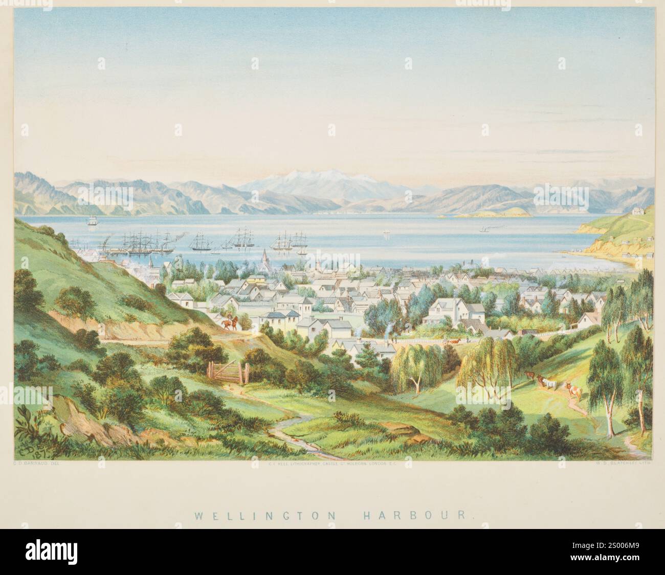 Wellington Harbour, colour lithograph from New Zealand Graphic and ...