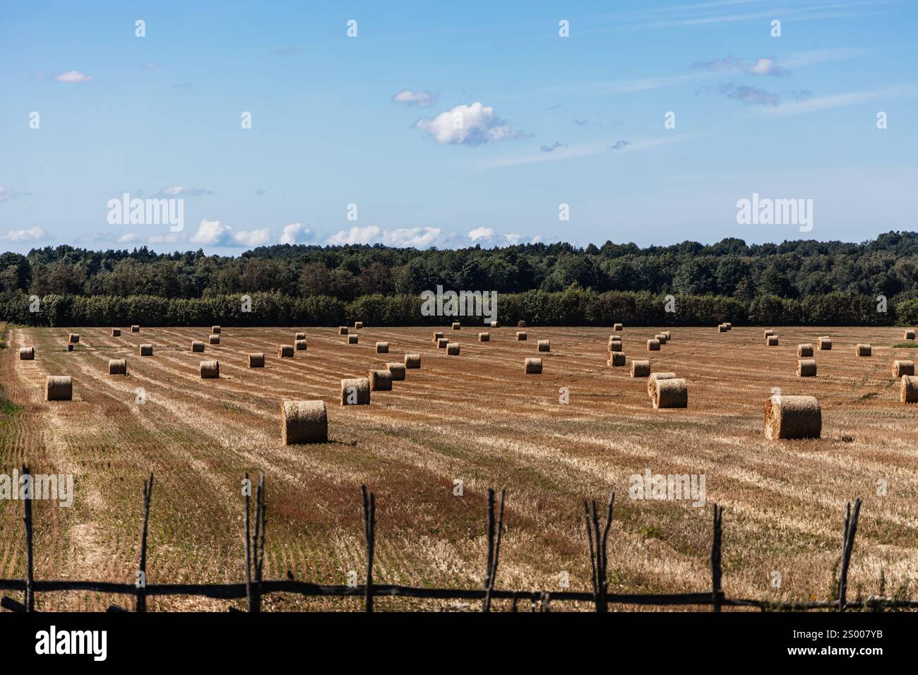 Rural landscape with straw, a wooden fence and old tools Stock Photo ...