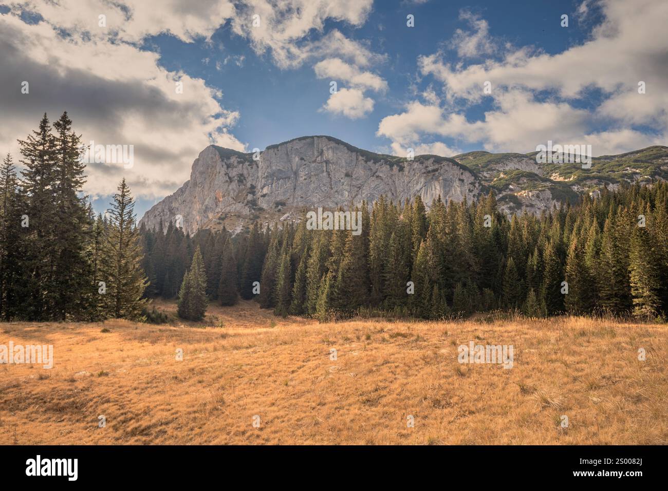 Scenic landscape showcasing the beauty of Durmitor National Park in ...