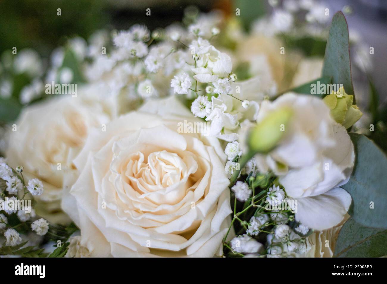 Close-up of a bridal bouquet with white roses and baby’s breath Stock Photo - Alamy