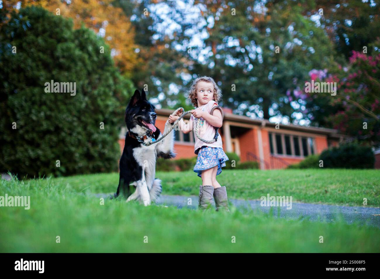 Kid holding the dog hi-res stock photography and images - Alamy