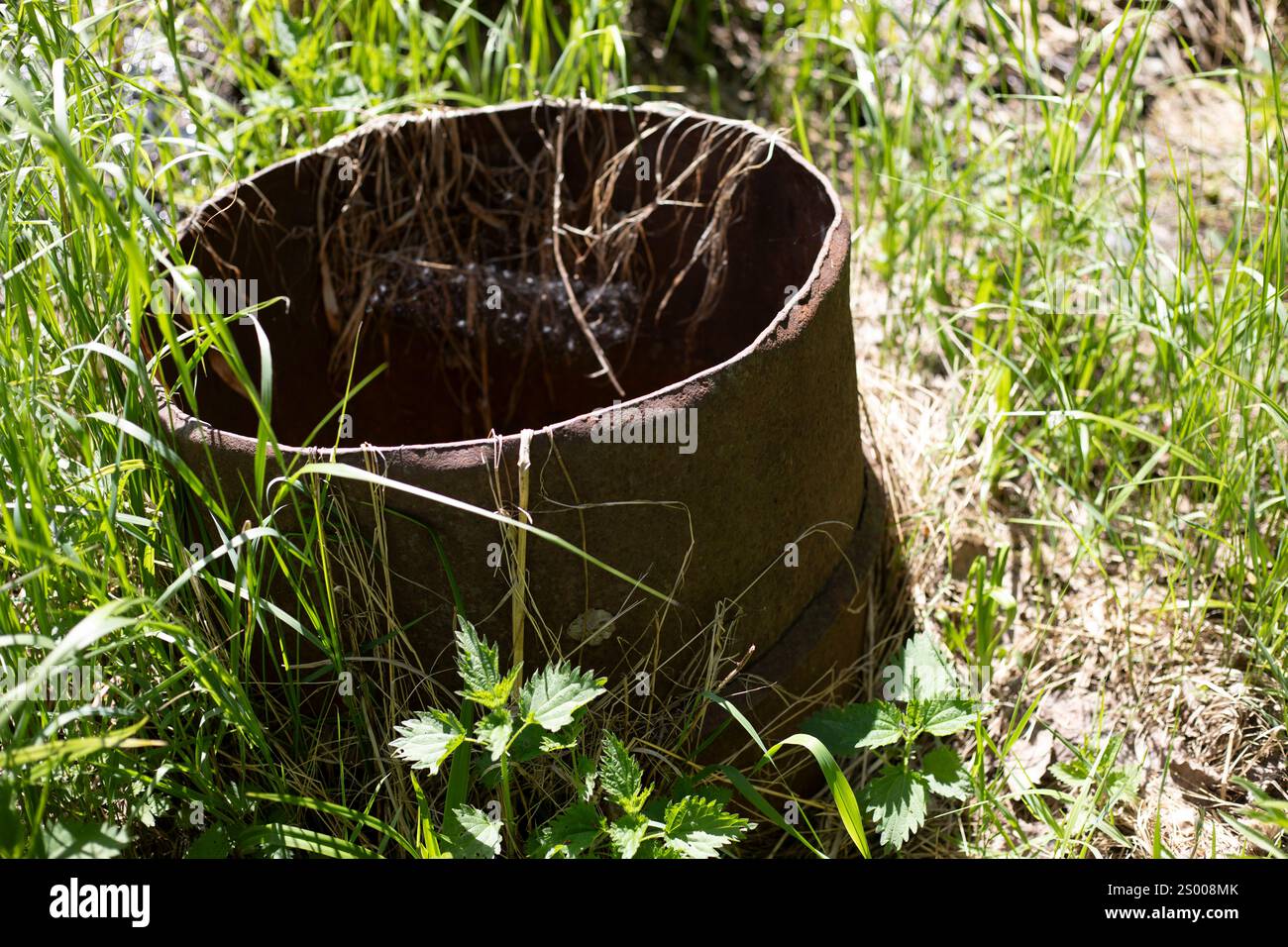 Old rusty barrel in the garden. A steel tank in the vegetable garden ...