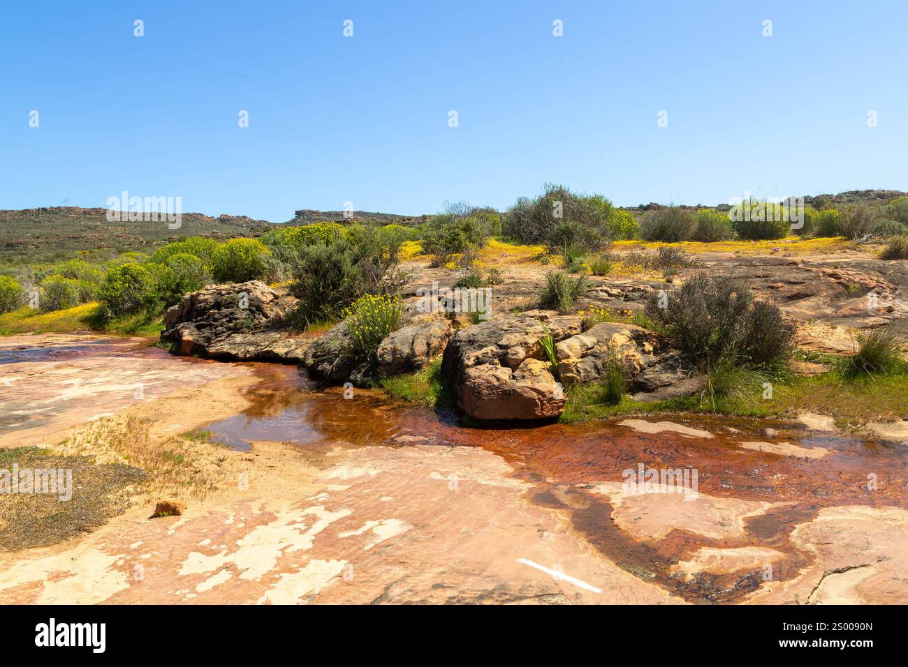 Landscape in the Cederberg Wilderness Area Stock Photo - Alamy