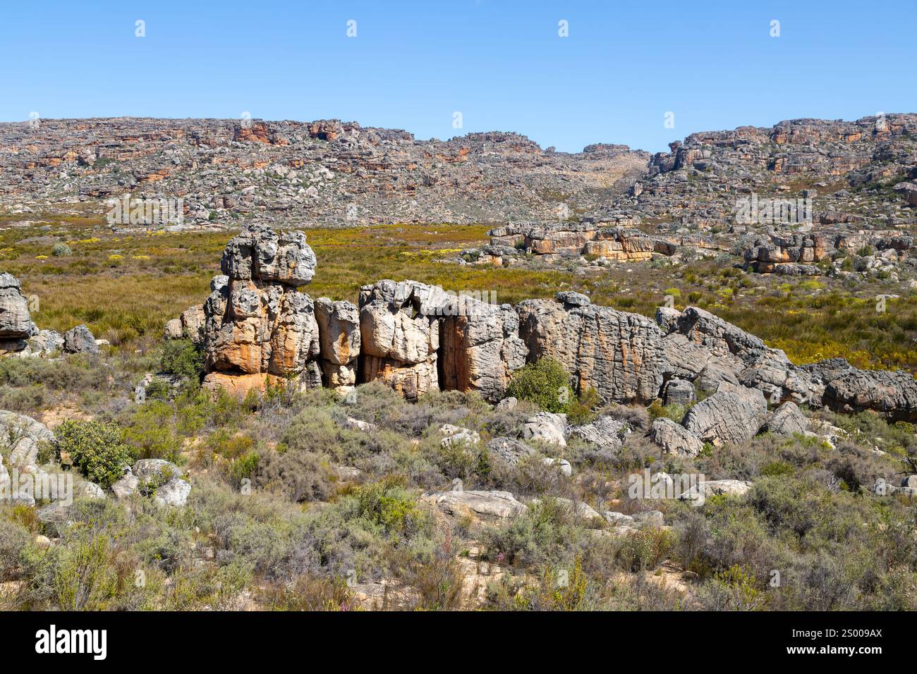 Landscape in the Cederberg Wilderness Area Stock Photo - Alamy