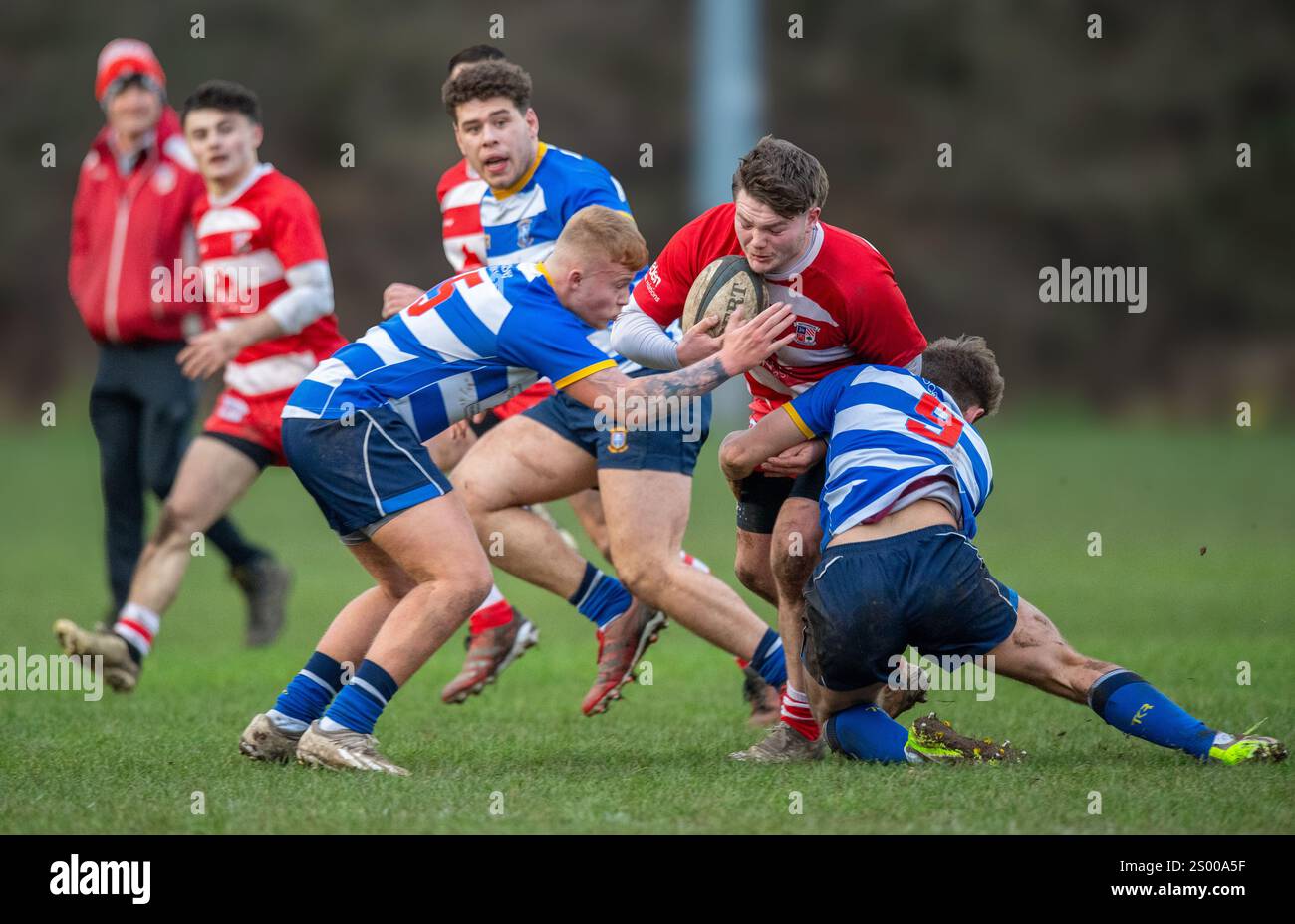English mens amateur Rugby Union players playing in a league game Stock ...