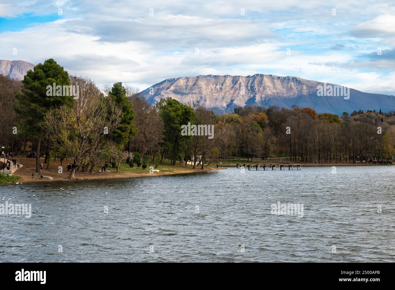 Colorful autumn trees at the recreation zone and shore of the artifical ...