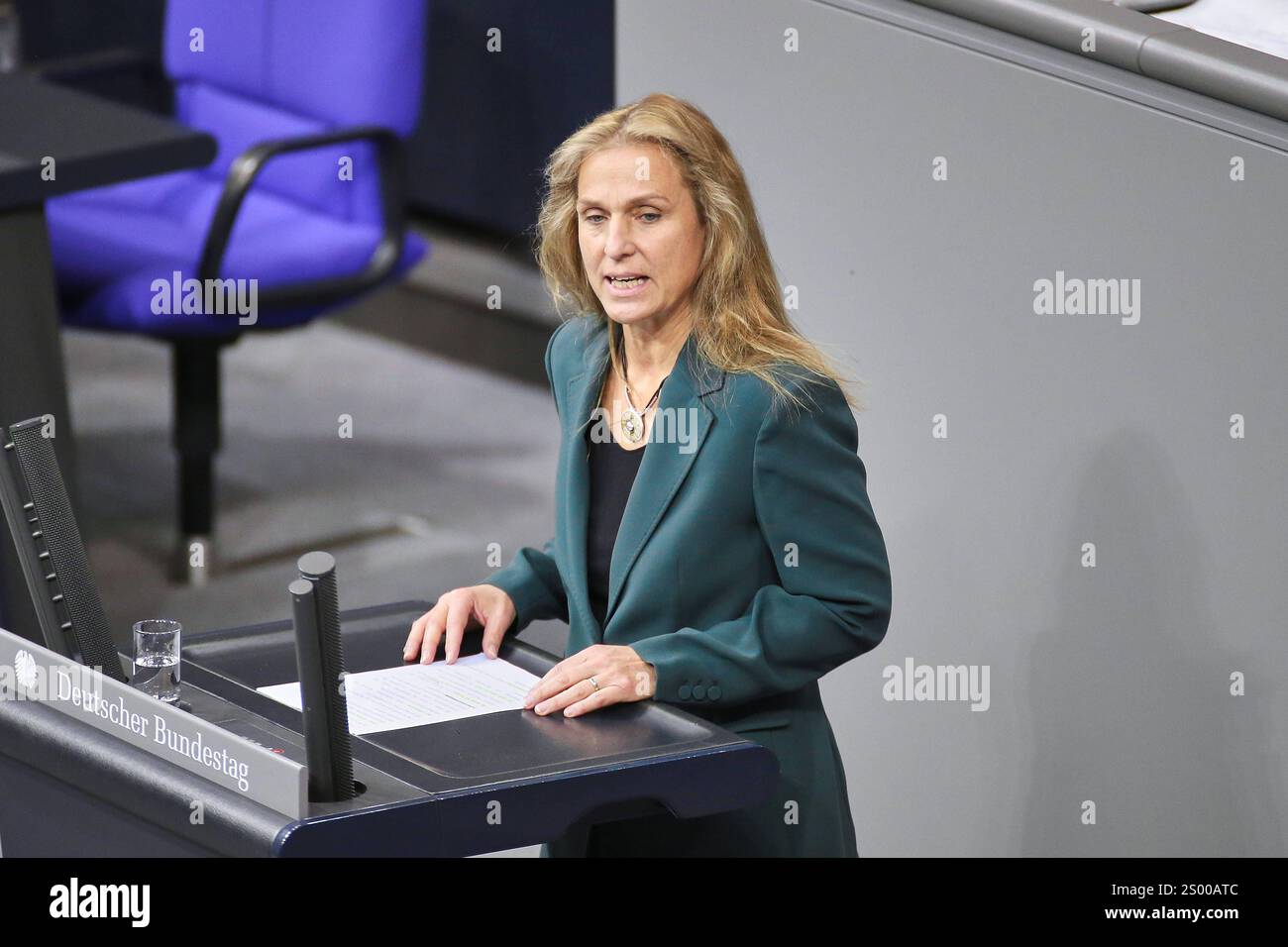 Berlin, Deutschland, 19.12.2024: Deutscher Bundestag: 207 ...