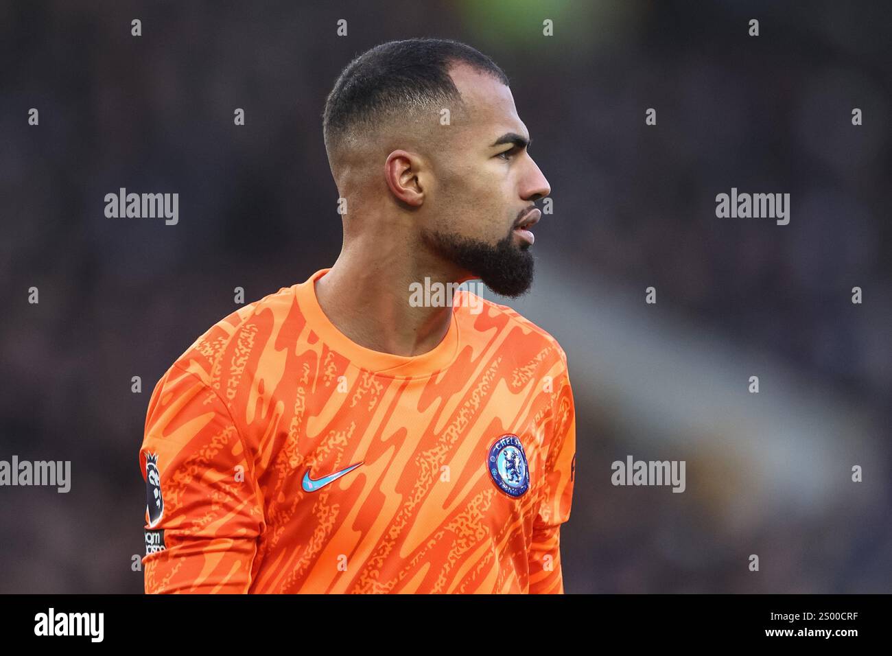 Robert Sánchez of Chelsea during the Premier League match Everton vs ...