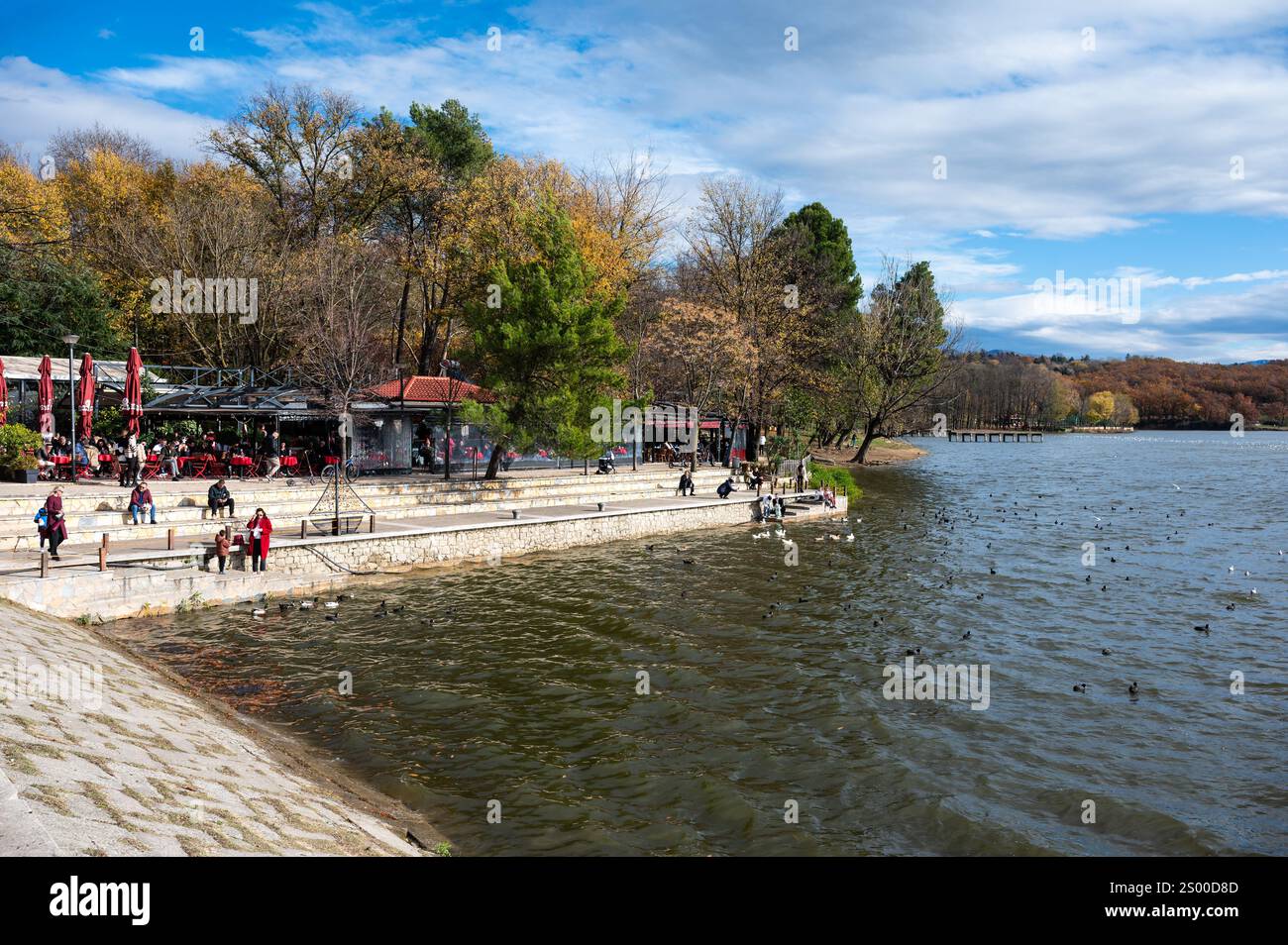 Colorful autumn trees at the recreation zone and shore of the artifical ...