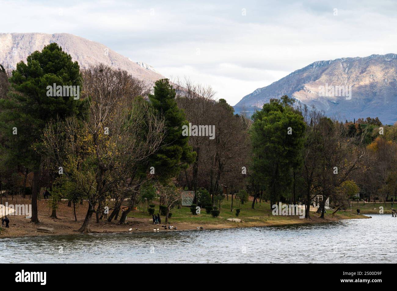 Colorful autumn trees at the recreation zone and shore of the artifical ...