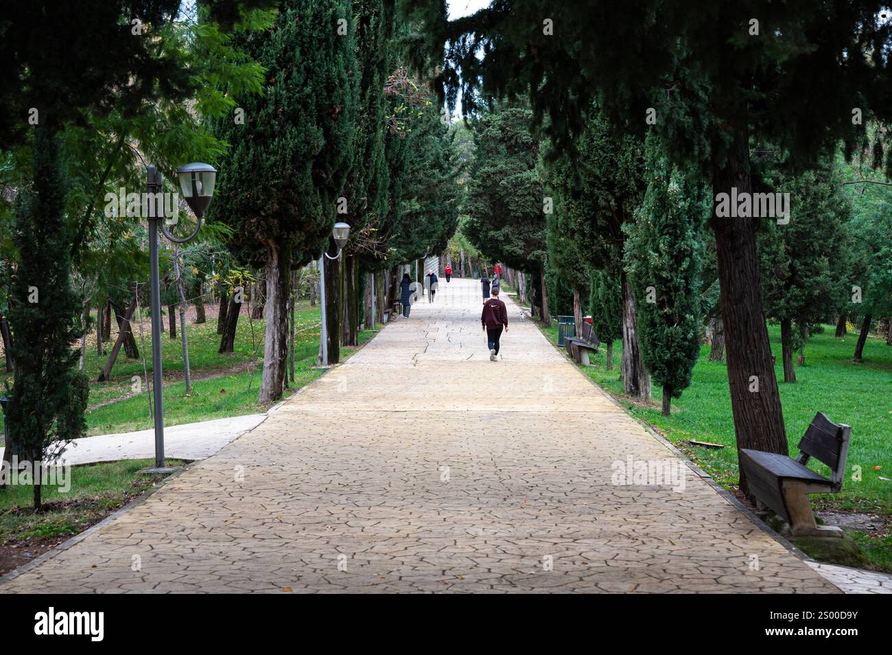 Scenic path through colorful autumn trees in the city park of Tirana ...