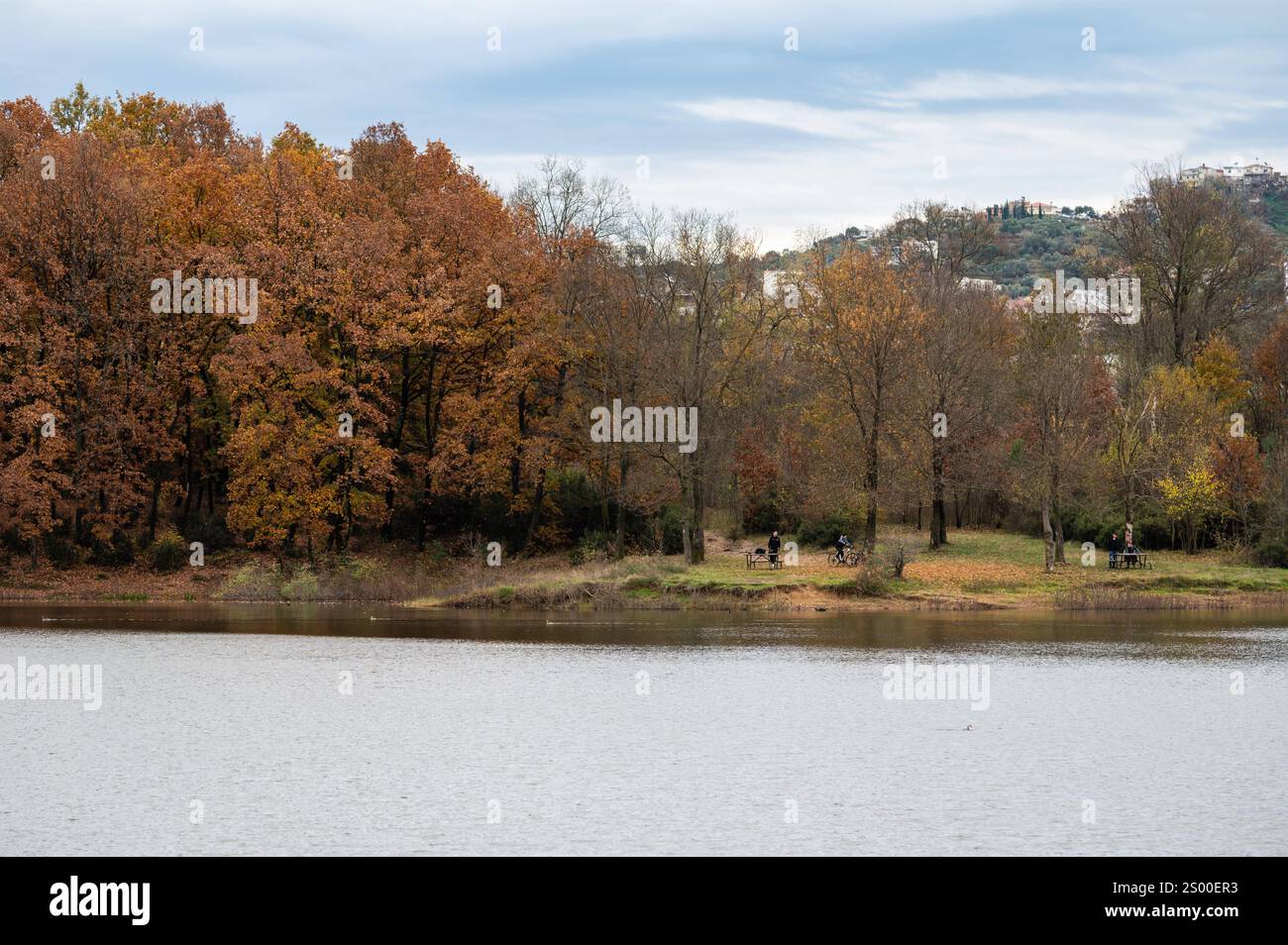 Autumn colors of trees at the artifical lake and park of Tirana ...