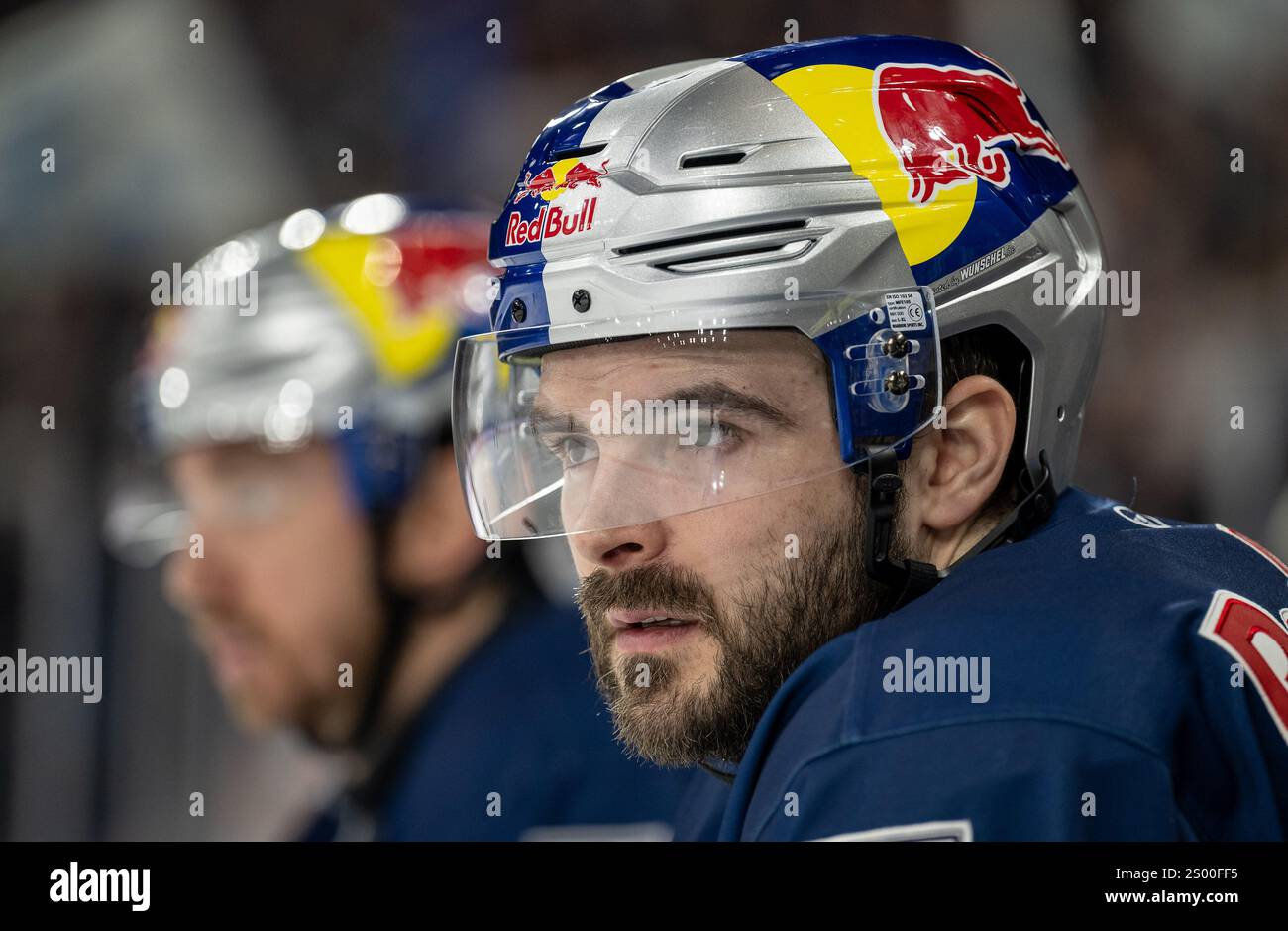 Will Butcher (EHC Red Bull Muenchen, #4) / Portrait / Portraet. GER ...