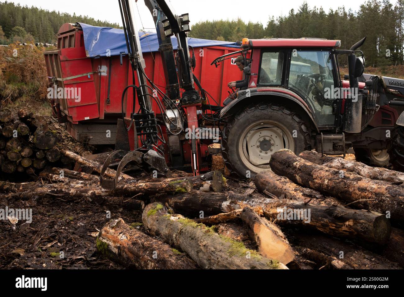Morvern peninsula wood hi-res stock photography and images - Alamy