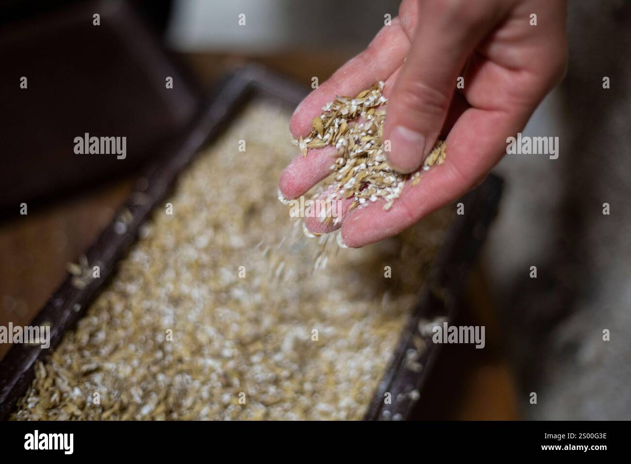 Scottish independent boutique hi-res stock photography and images - Alamy