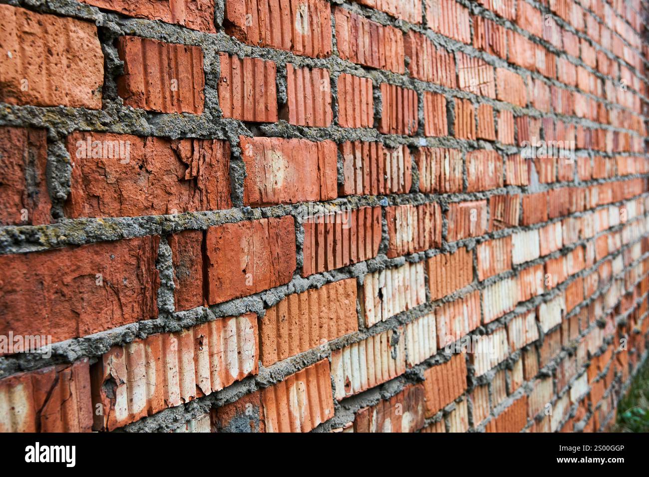 Brick old red wall texture background. Green plants framing old brick ...
