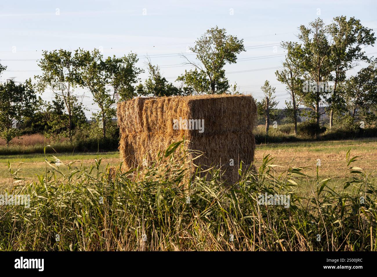 Golden hay bale rests hi-res stock photography and images - Alamy