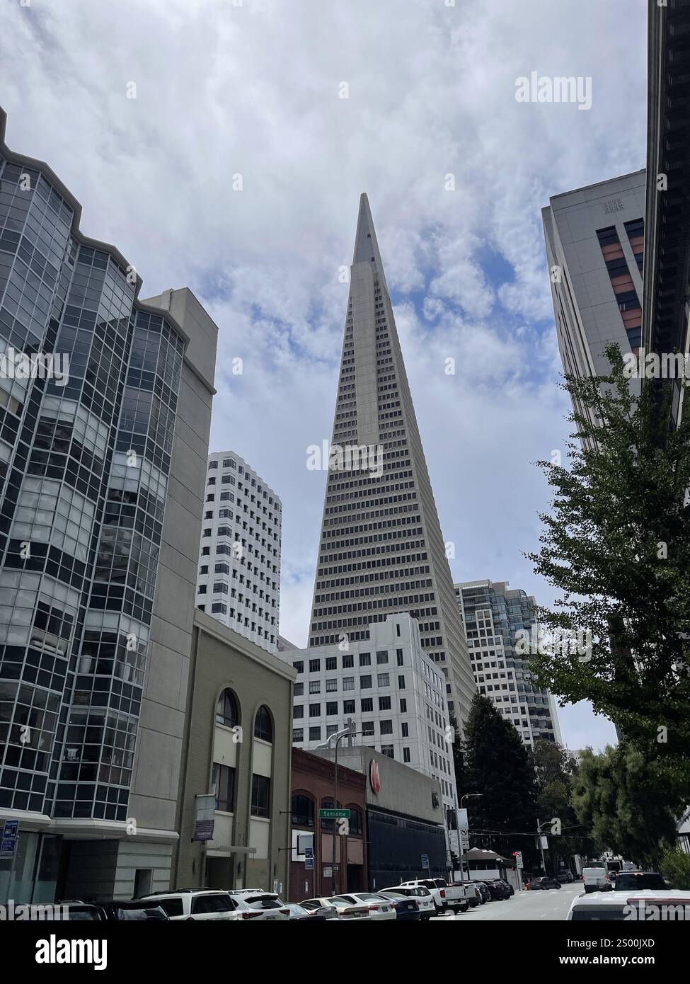 The iconic Transamerica Pyramid in San Francisco among modern buildings ...