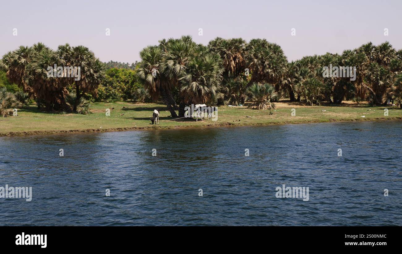 Cruise on the Nile River, view from dahabiah in Egypt Stock Photo - Alamy