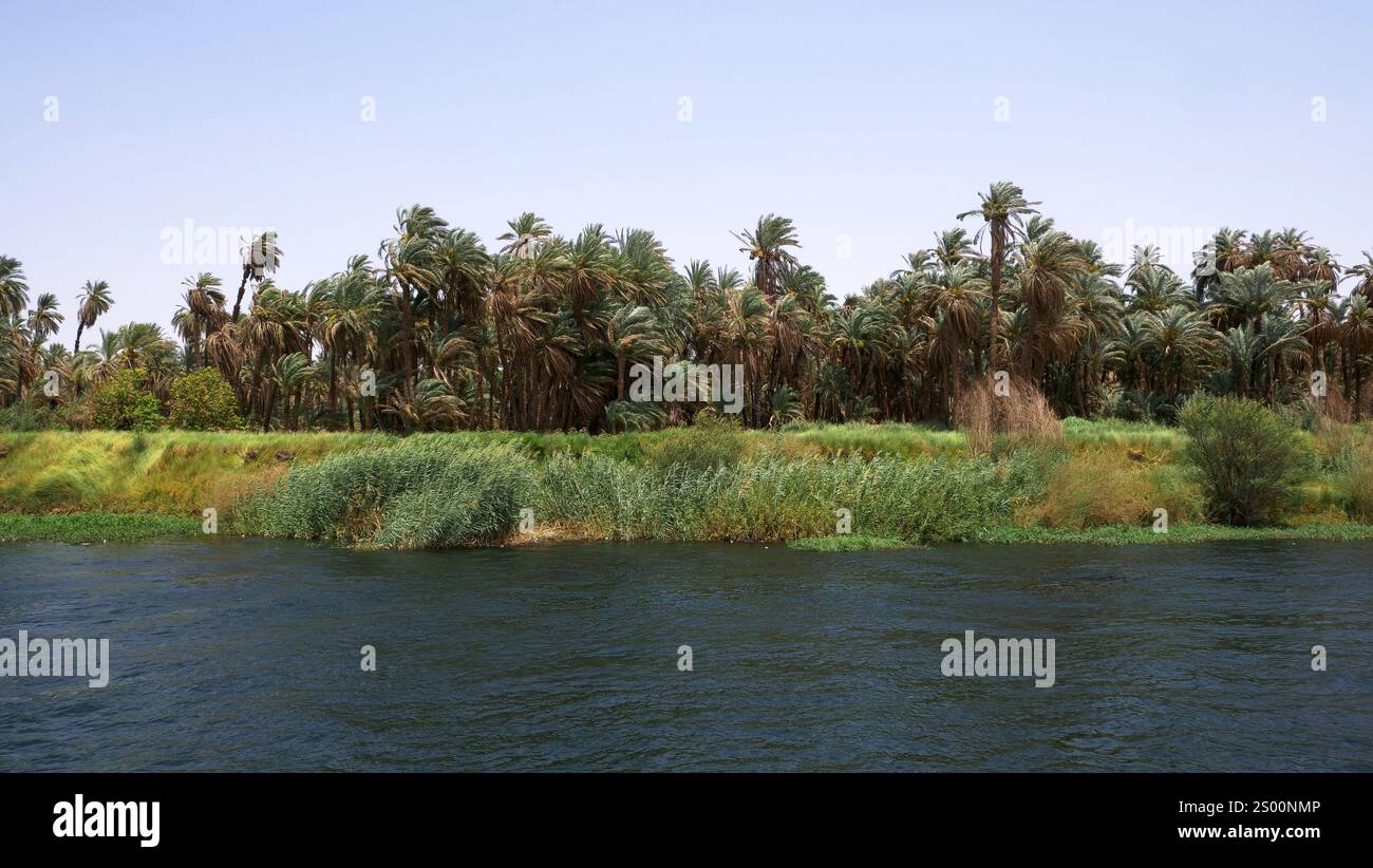 Cruise on the Nile River, view from dahabiah in Egypt Stock Photo - Alamy